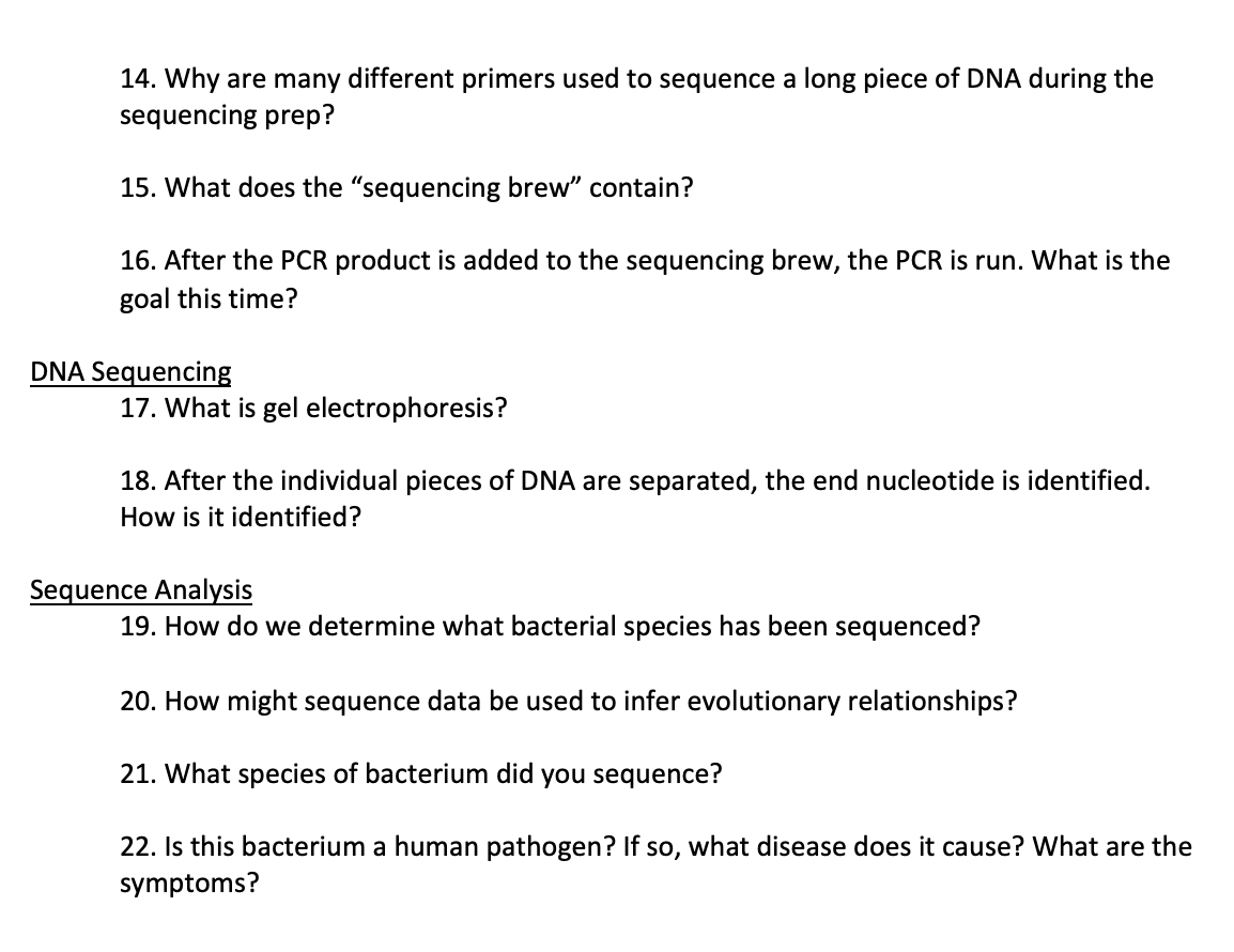 Solved Virtual Bacteria Identification Laboratory The | Chegg.com