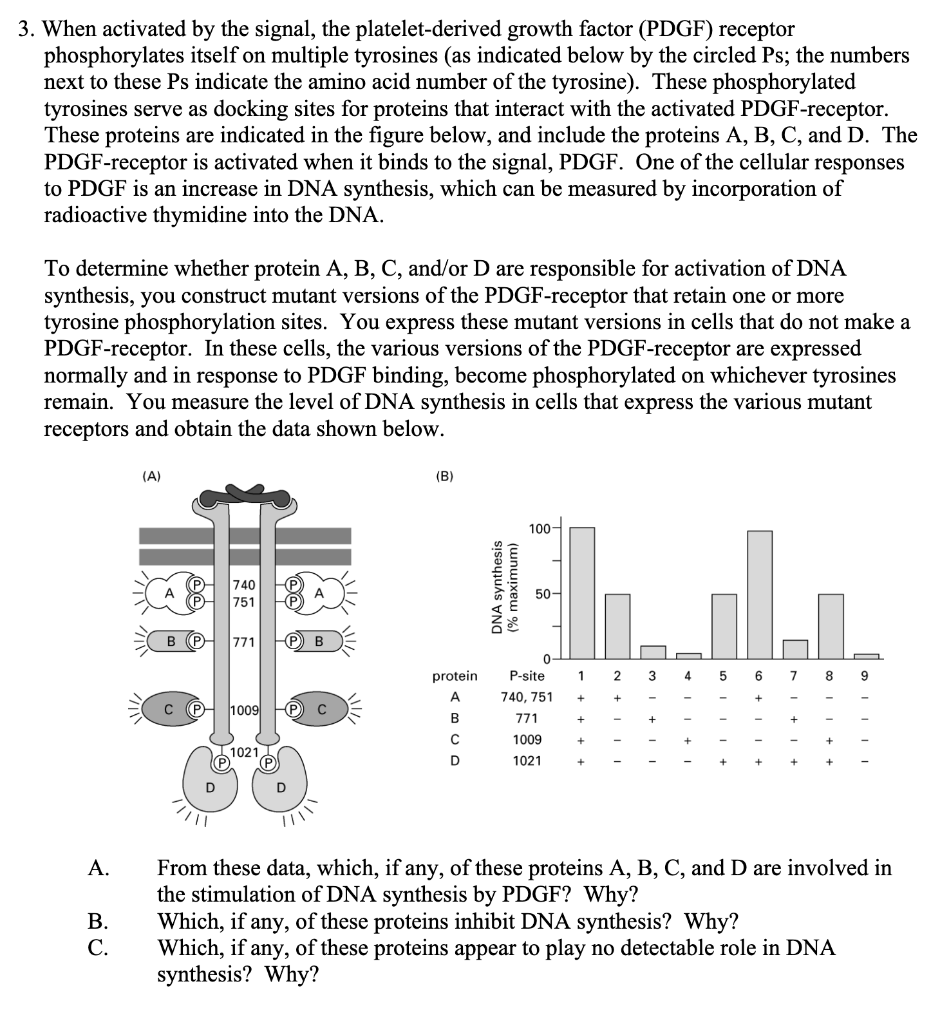 Solved 3. When activated by the signal, the platelet-derived | Chegg.com