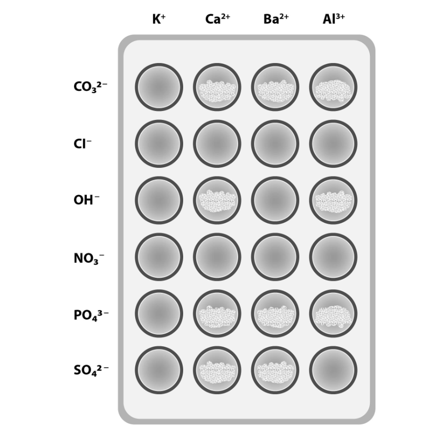 Solved First spot plate results Use the images provided | Chegg.com