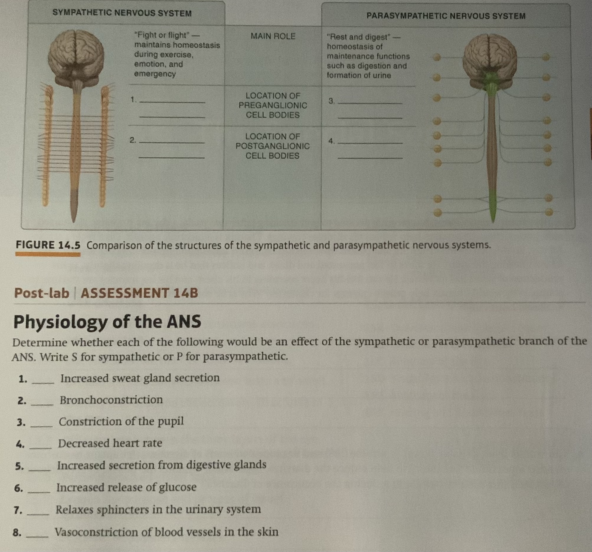 Solved FIGURE 14.5 Comparison of the structures of the | Chegg.com