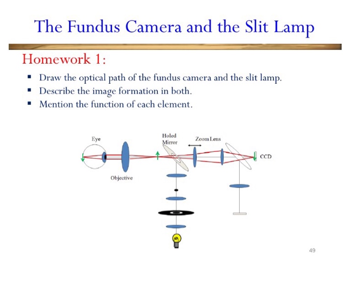 Solved The Fundus Camera and the Slit Lamp Homework 1: " | Chegg.com