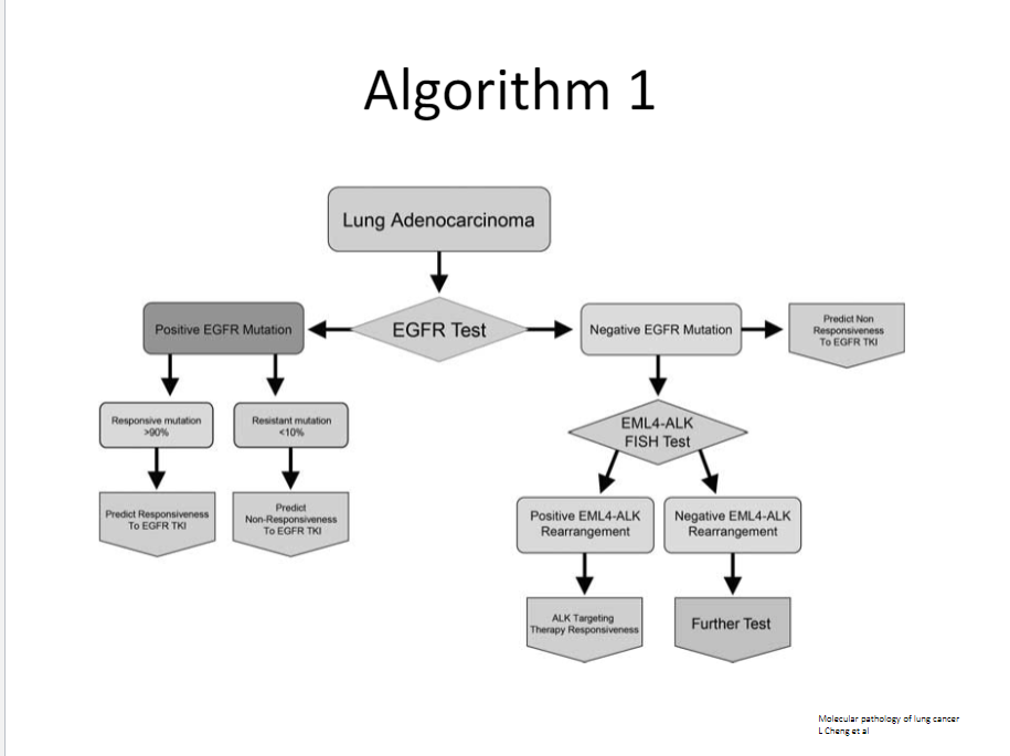 Solved Algorithm 1 Lung Adenocarcinoma Predict Non Positive | Chegg.com