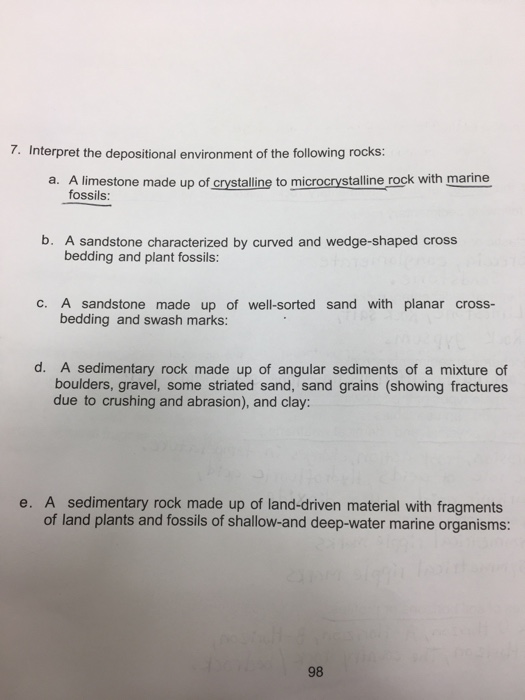 Solved 7. Interpret the depositional environment of the | Chegg.com