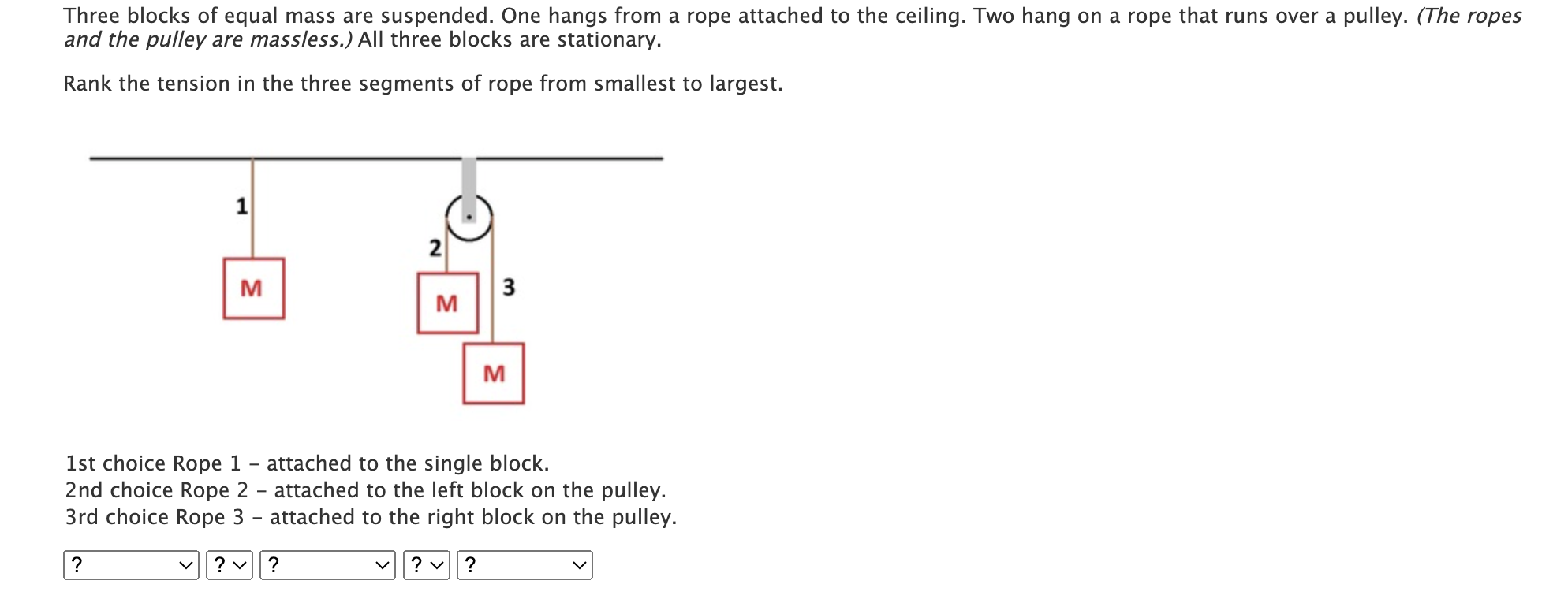 Solved Three blocks of equal mass are suspended. One hangs | Chegg.com