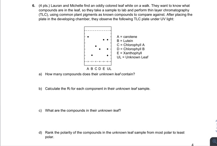 Solved 6. (4 pts.) Lauran and Michelle find an oddly colored | Chegg.com