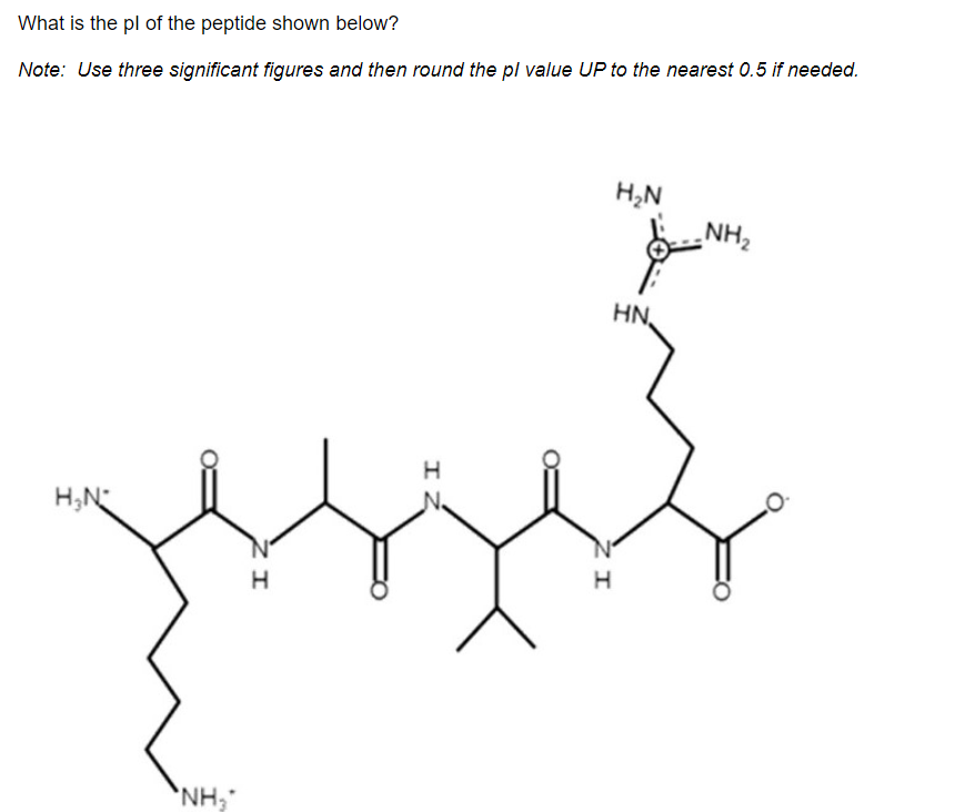 Solved What is the pl of the peptide shown below? Note: | Chegg.com