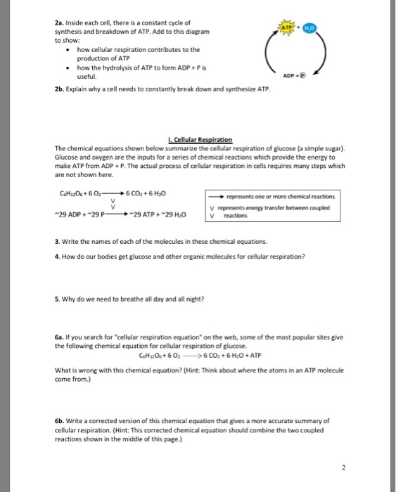 Solved 2a. Inside each cell, there is a constant cycle of | Chegg.com