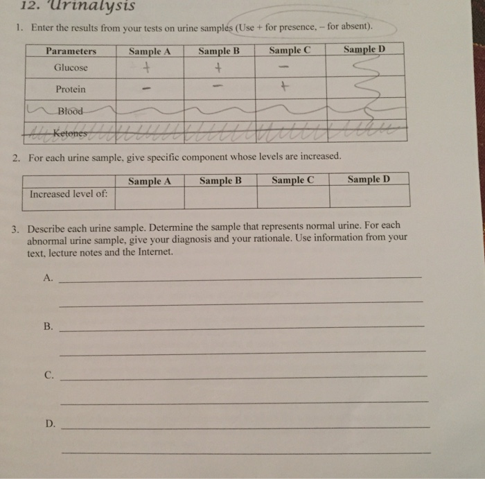 Solved 12. urinalysis 1. Enter the results from your tests | Chegg.com