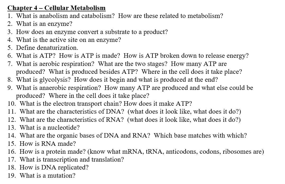 Solved Chapter 4 - Cellular Metabolism 1. What is anabolism | Chegg.com