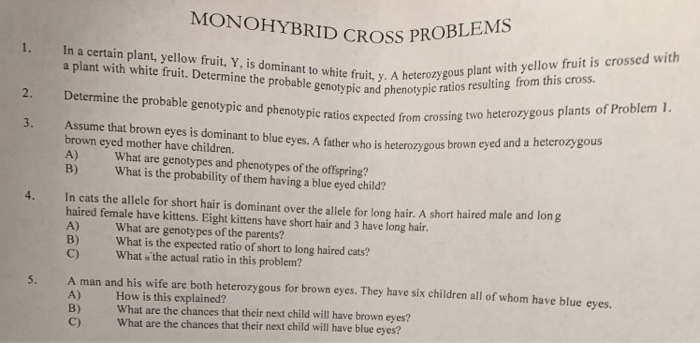Solved MONOHYBRID CROSS PROBLEMS 1. In a certain plant, | Chegg.com