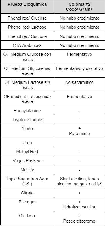 Find the gender and clasification of the bacteria | Chegg.com