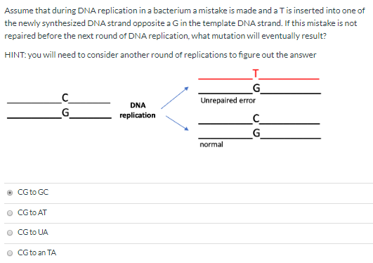 Solved Assume that during DNA replication in a bacterium a | Chegg.com