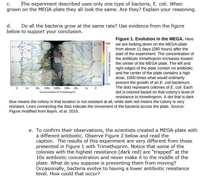 Solved c. The experiment described uses only one type of | Chegg.com
