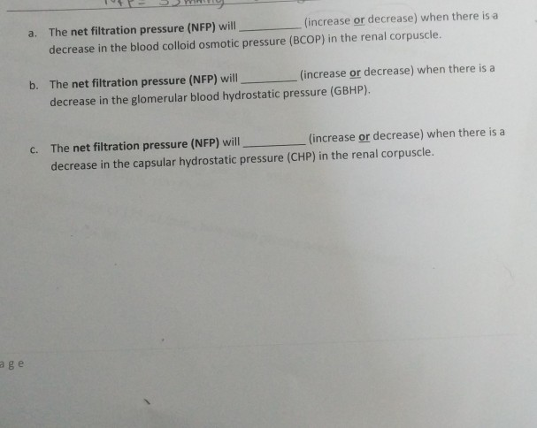 Solved a. The net filtration pressure (NFP) will _ (increase | Chegg.com