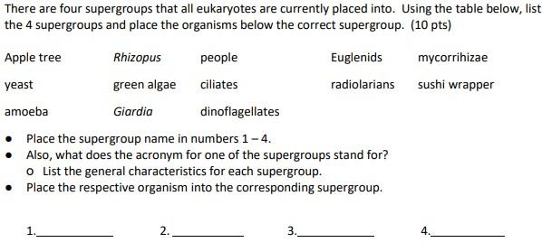 Solved There are four supergroups that all eukaryotes are | Chegg.com