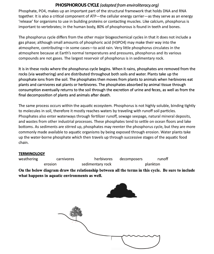 Solved PHOSPHOROUS CYCLE (adapted from enviroliteracy.org) | Chegg.com