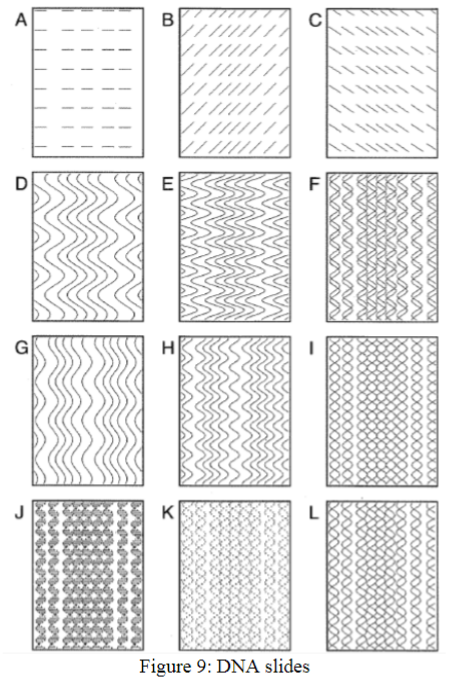 I J Figure 9: DNA slides | Chegg.com