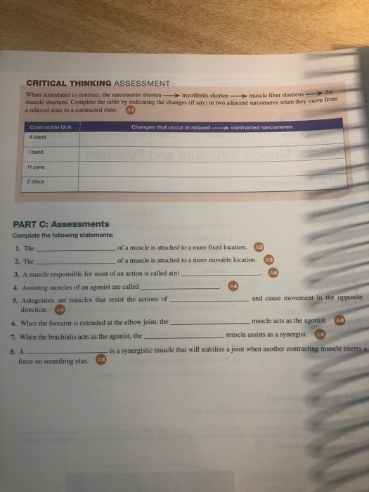 Solved 20 found at the beginning of the Laboratory Skeletal | Chegg.com