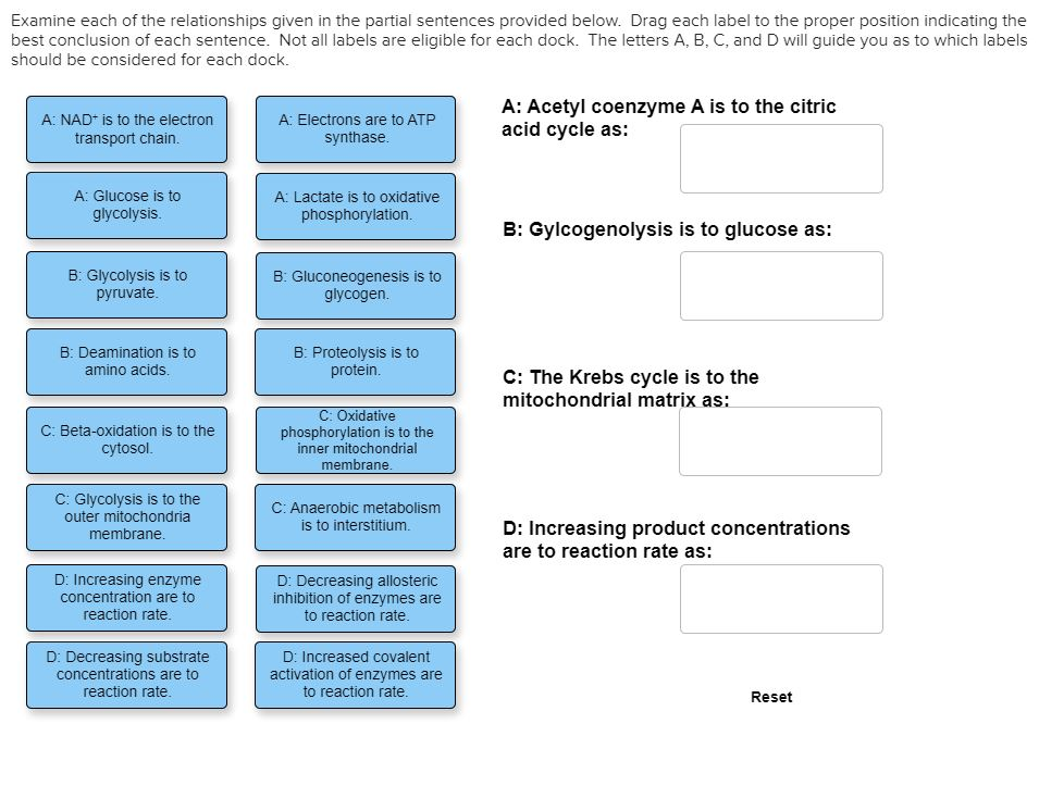 Solved Examine each of the relationships given in the | Chegg.com