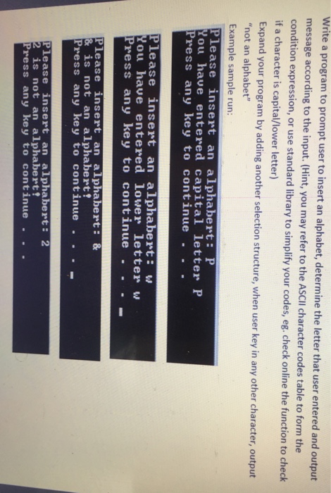 Solved Write A Program To Prompt User To Insert An Alphabet 1141