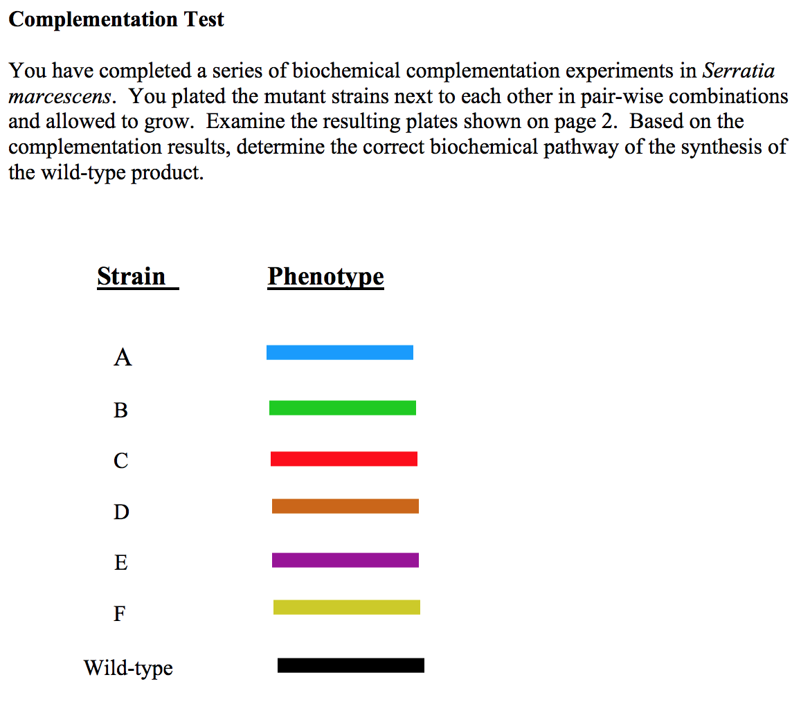Complementation Test You have completed a series of | Chegg.com