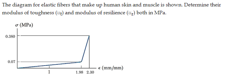 Solved The diagram for elastic fibers that make up human | Chegg.com