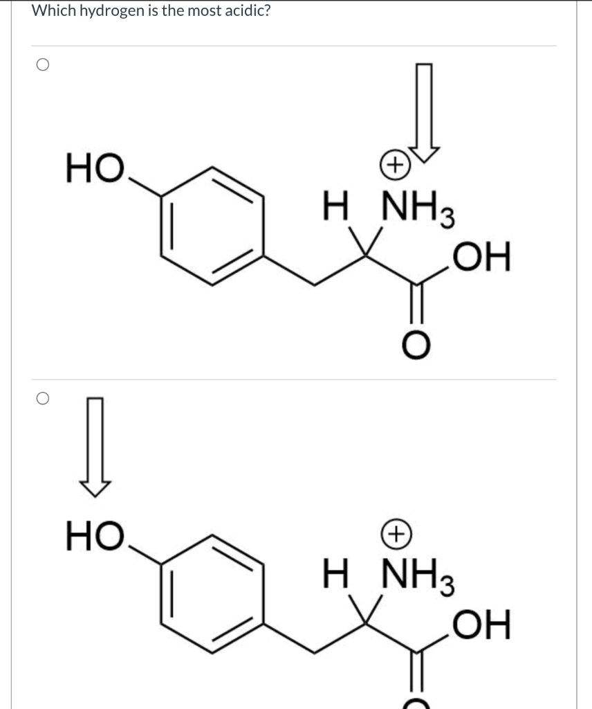 Solved Which hydrogen is the most acidic? HO H NH3 OH O HO + | Chegg.com