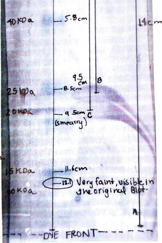Solved I’m currently trying to understand the process of | Chegg.com