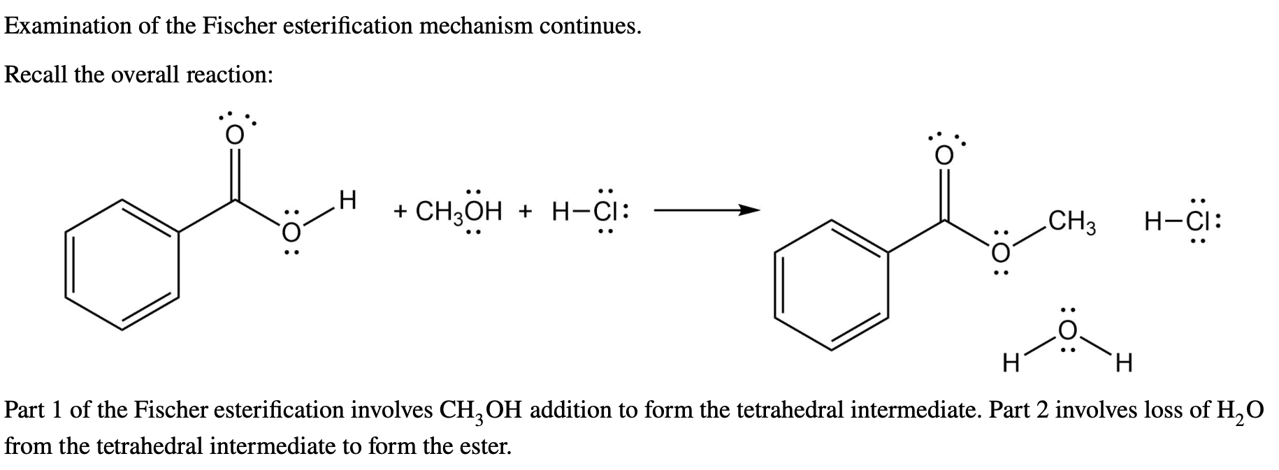 Solved Examination of the Fischer esterification mechanism | Chegg.com