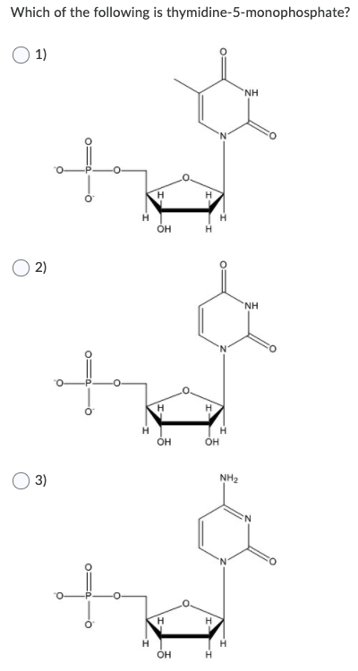 Solved Which of the following is thymidine-5-monophosphate? | Chegg.com