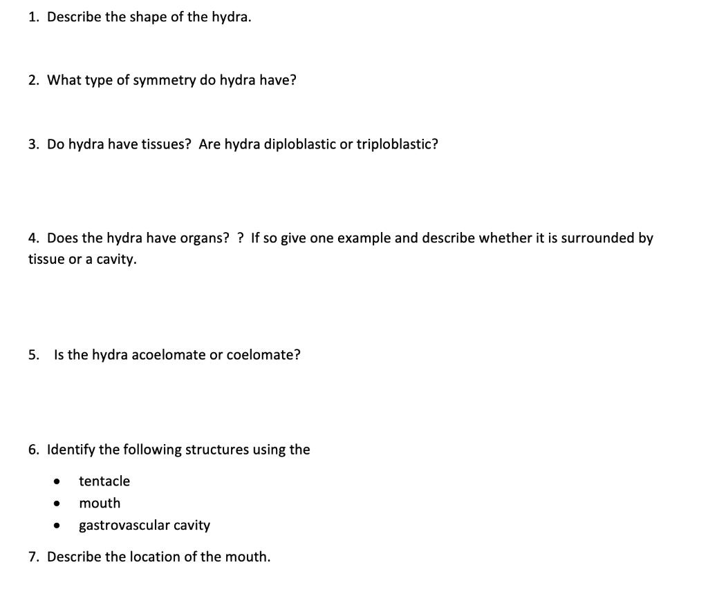 Solved 1. Describe the shape of the hydra. 2. What type of | Chegg.com