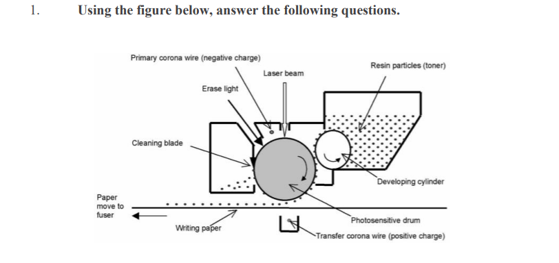 Solved i) Name and identify the category of the chart | Chegg.com