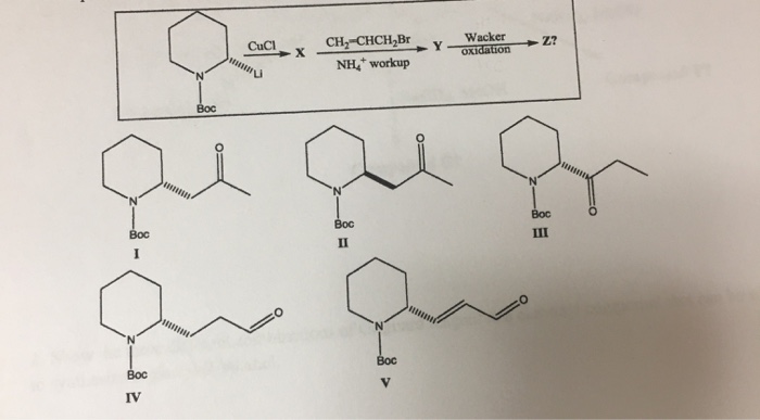 Solved Boc CuCI CH2 CHCH2Br NHet workup Wacker Z? Boc | Chegg.com