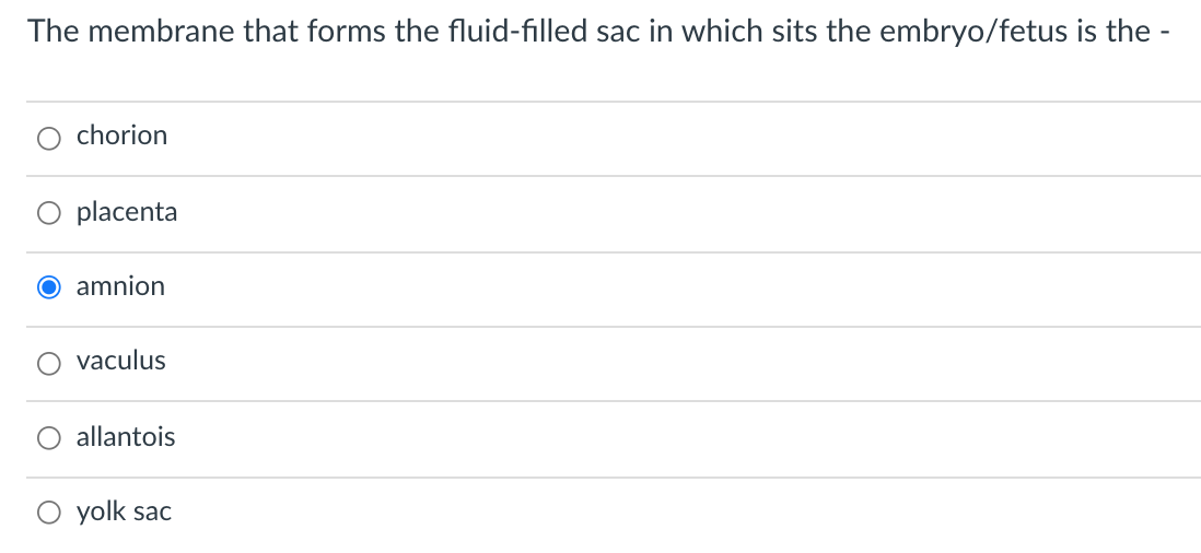 Solved Compared to altricial young, precocial young are | Chegg.com