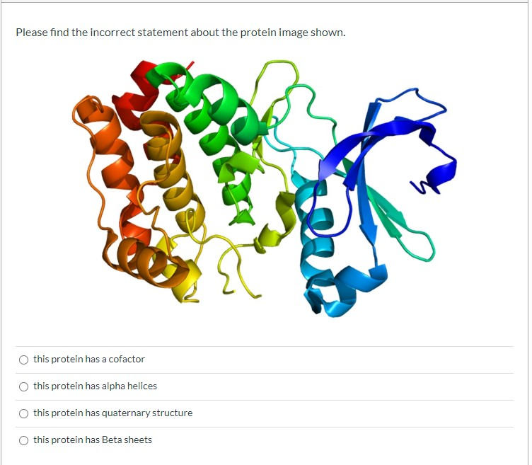 Solved Please find the incorrect statement about the protein | Chegg.com