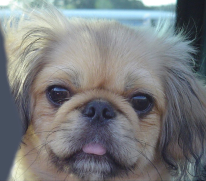 Solved This assignment requires you to create and implement | Chegg.com