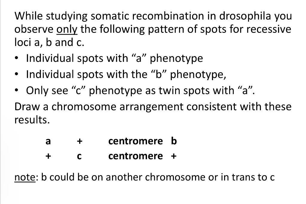 Solved While studying somatic recombination in drosophila | Chegg.com