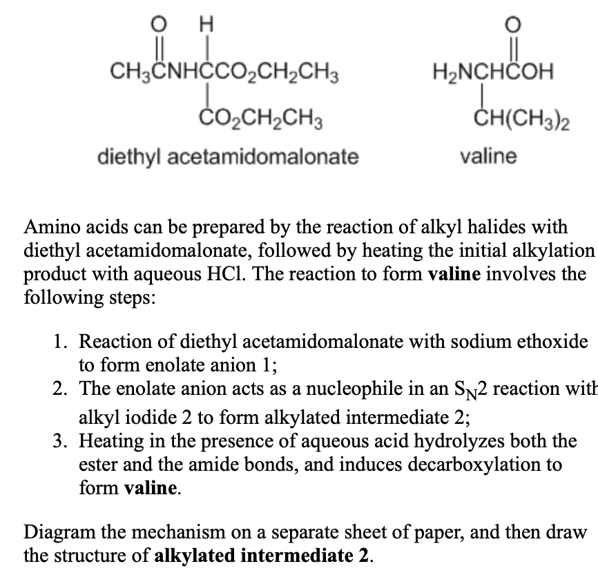 Solved Ο Η CNHO H NCHCOH CH3CNHCCO2CH2CH3 CO2CH2CH3 diethyl | Chegg.com