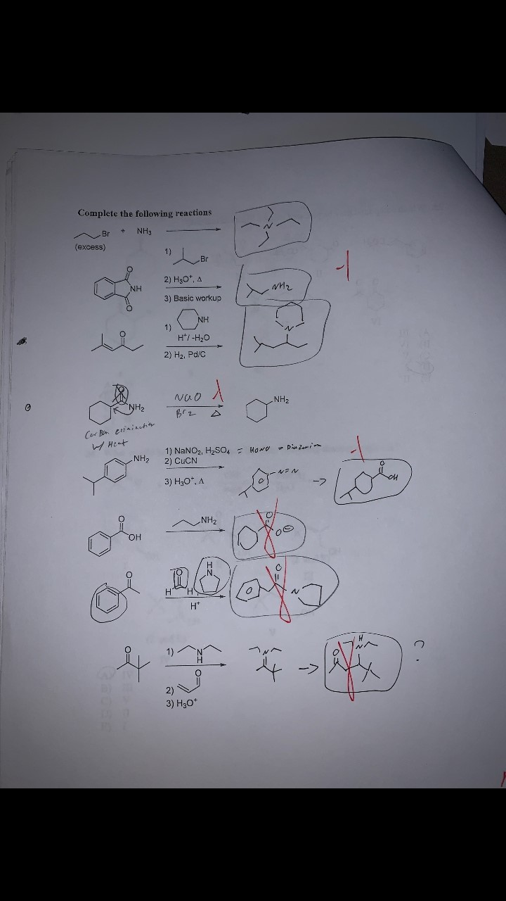 Solved Complete the following reactions N Br + NH3 (excess) | Chegg.com