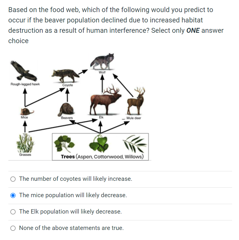 Solved Based on the food web, which of the following would | Chegg.com