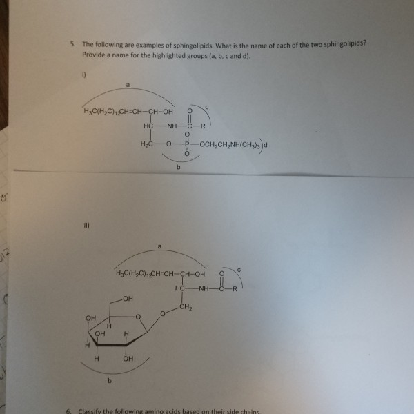 Solved he following are examples of sphingolipids. What is | Chegg.com