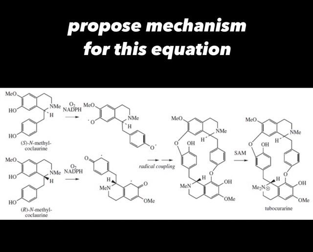 Solved propose mechanism for this equation | Chegg.com Solved propose mechanism for this equation | Chegg.com