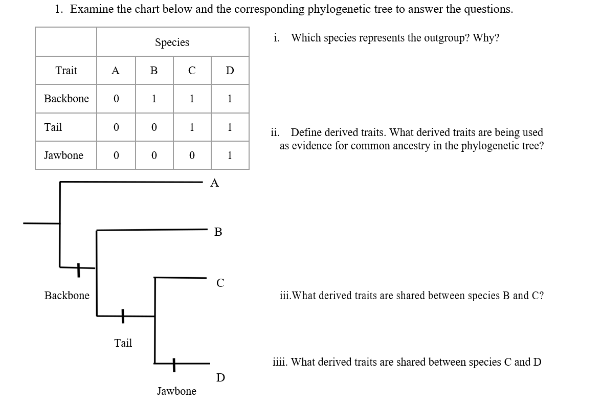 Solved 1. Examine the chart below and the corresponding | Chegg.com
