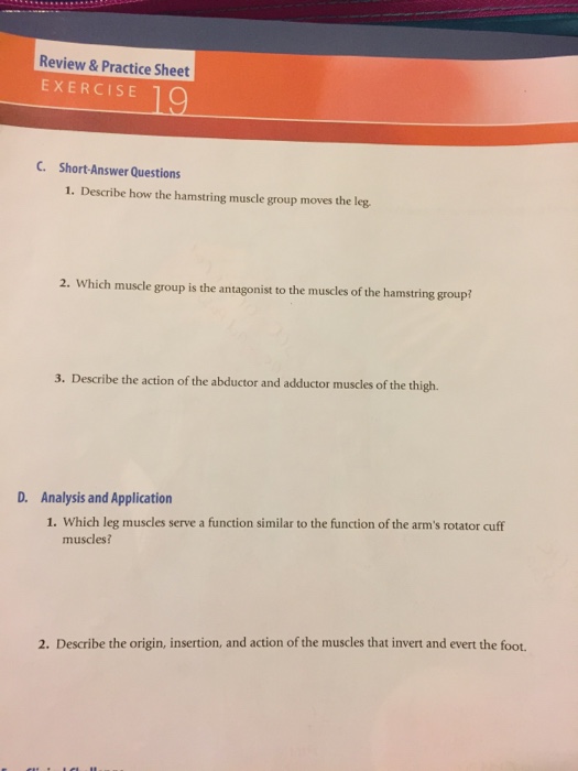 Solved Review & Practice Sheet EXERCISE C. Short-Answer | Chegg.com