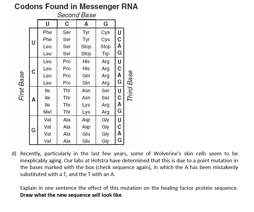 Solved 2) You obtain the following DNA sequence: 3' | Chegg.com