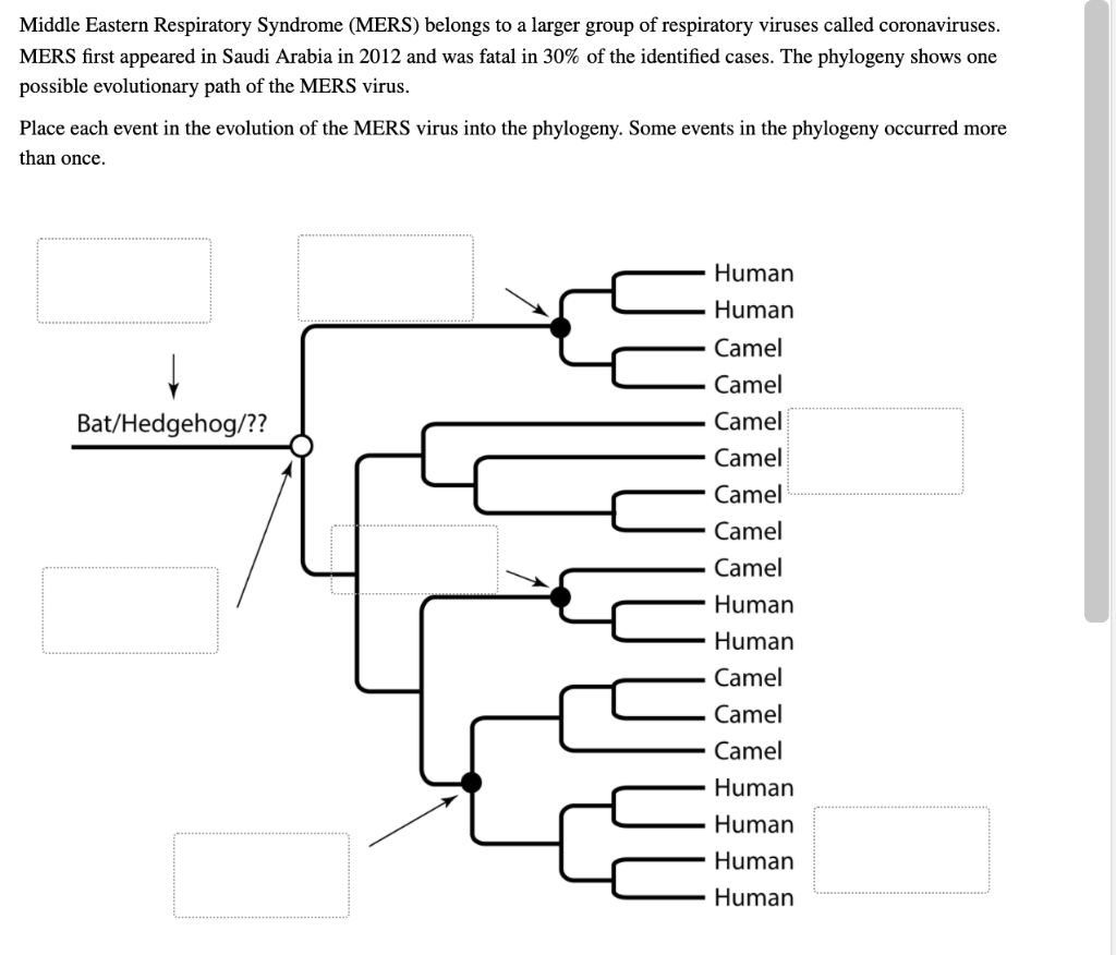 Middle Eastern Respiratory Syndrome (MERS) belongs to | Chegg.com