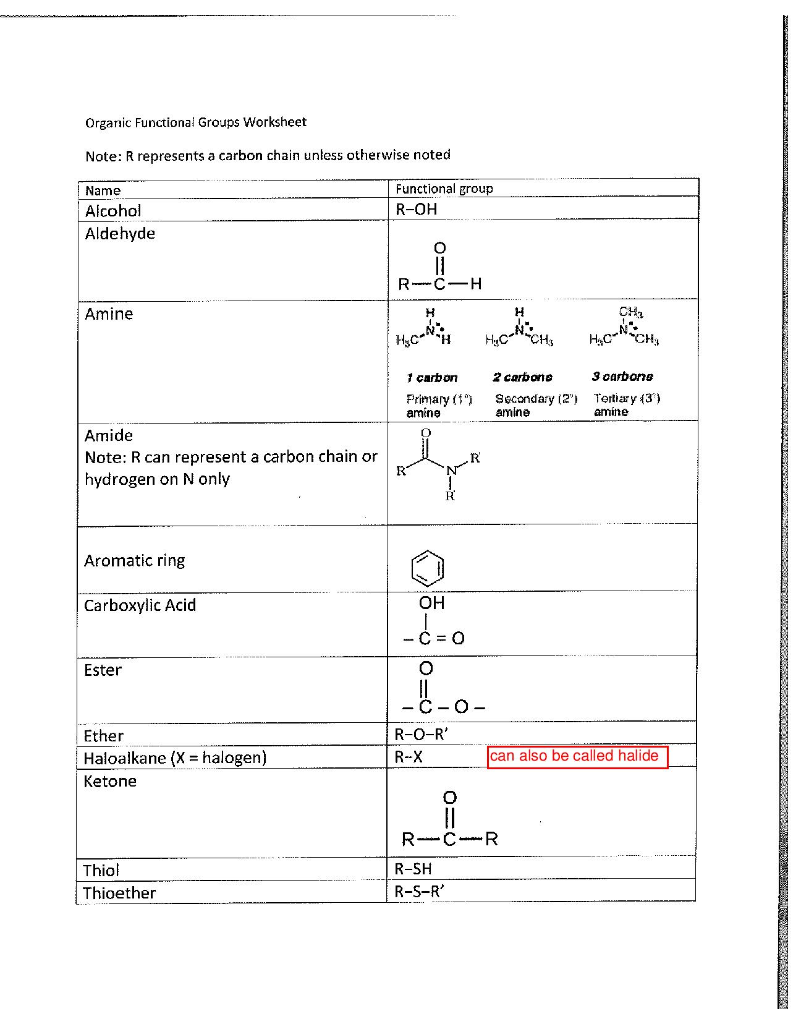 Solved Name Circle and name all the functional groups in the | Chegg.com