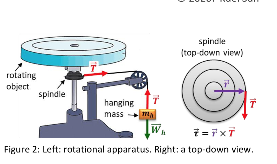 Solved spindle (top-down view) rotating object spindle Ť 7 | Chegg.com