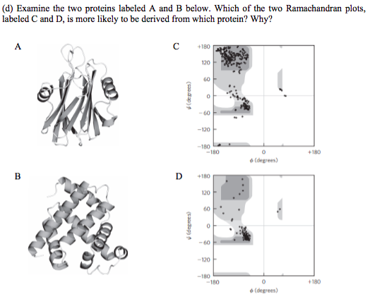 Solved 4. Interpreting Ramachandran Plots. (a) Given a | Chegg.com