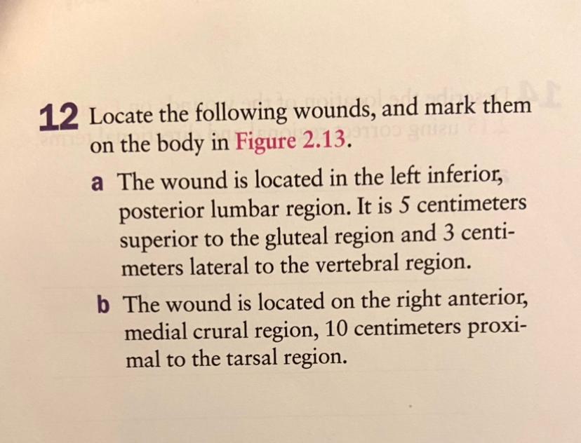 Solved 12 Locate the following wounds, and mark them on the | Chegg.com